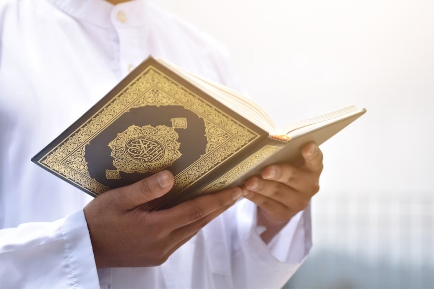 Quran Courses – Think With Quran